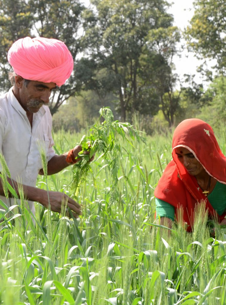 sustainable-livelihoods-banner | Hindustan Zinc
